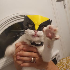 Wolverine Cat Mask - Etsy