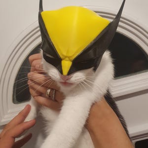Wolverine Cat Mask - Etsy