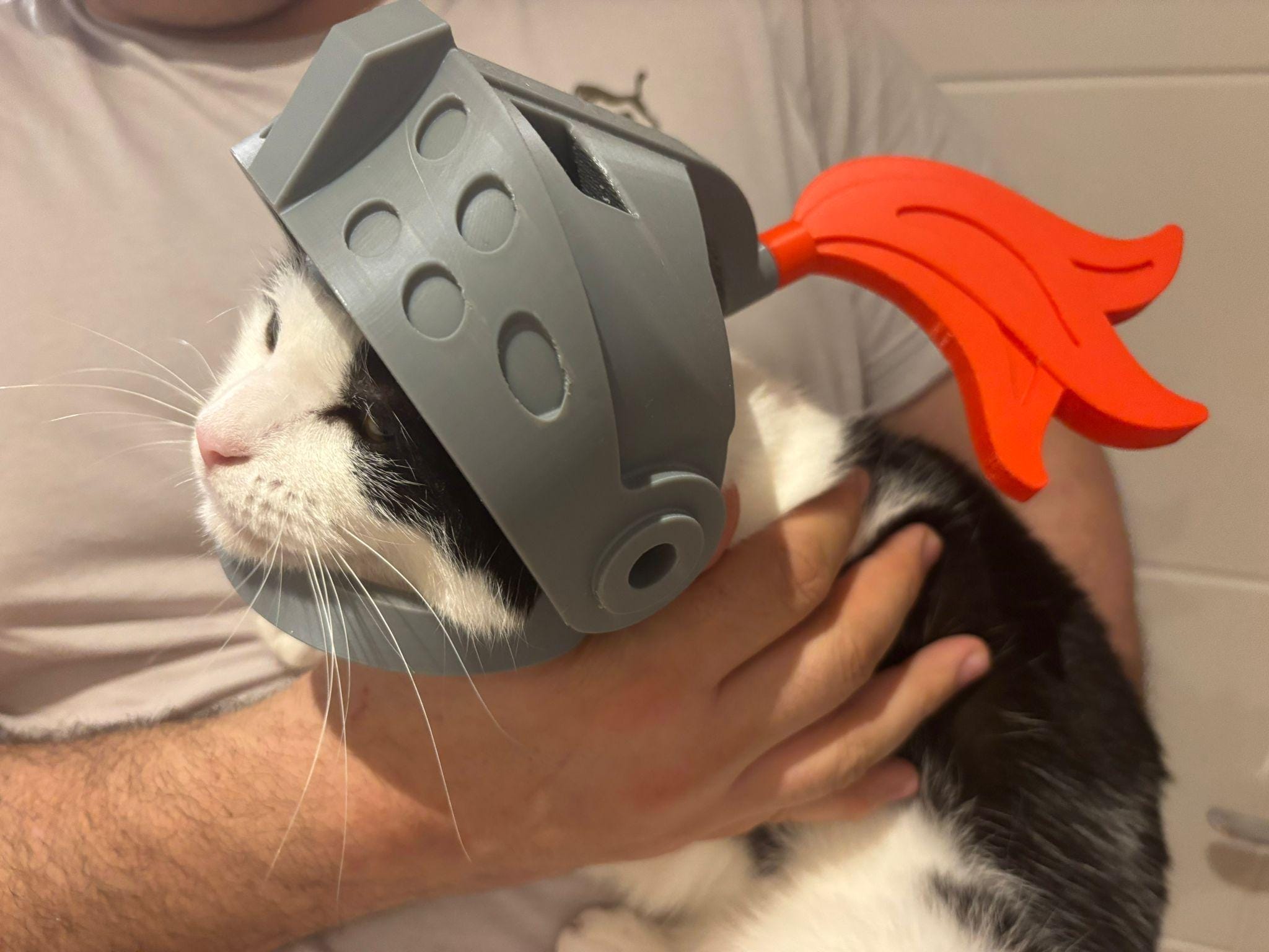 Knight Helmet for Cats With Moving Visor - One Size Fits Most - Etsy