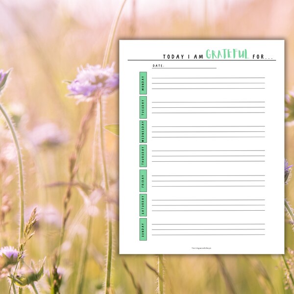 Fall Cleaning Checklist, Fall Cleaning Schedule, Printable Cleaning ...