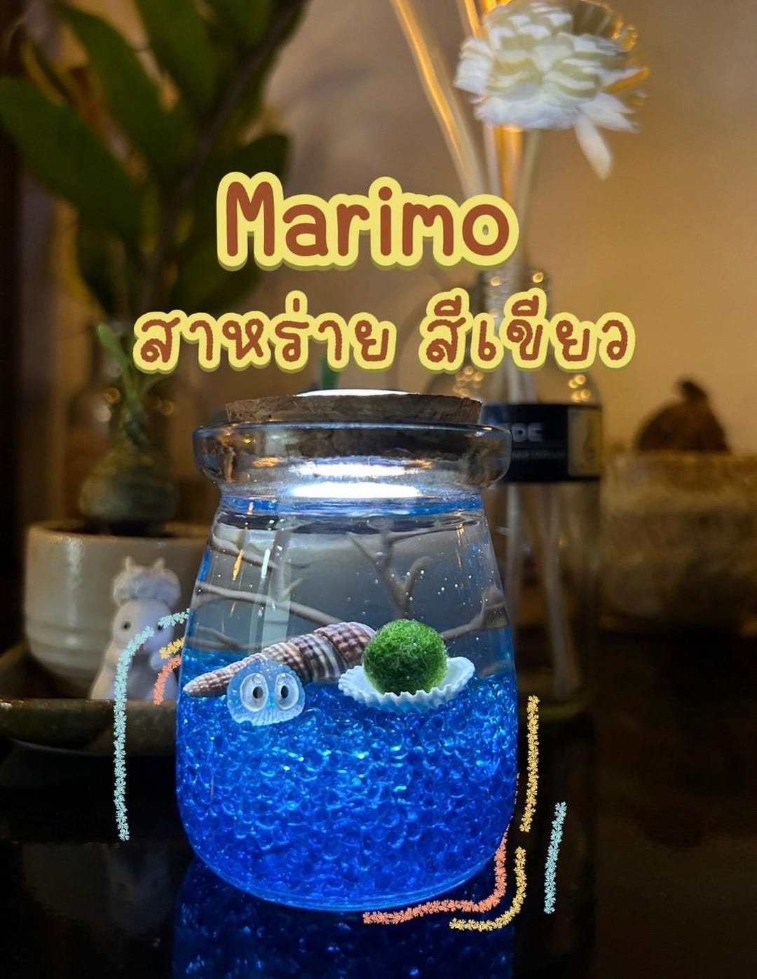 Marimo Set+led+ 1.2cm. (as Shown in the Picture) Free Fertilizer,manual - Etsy