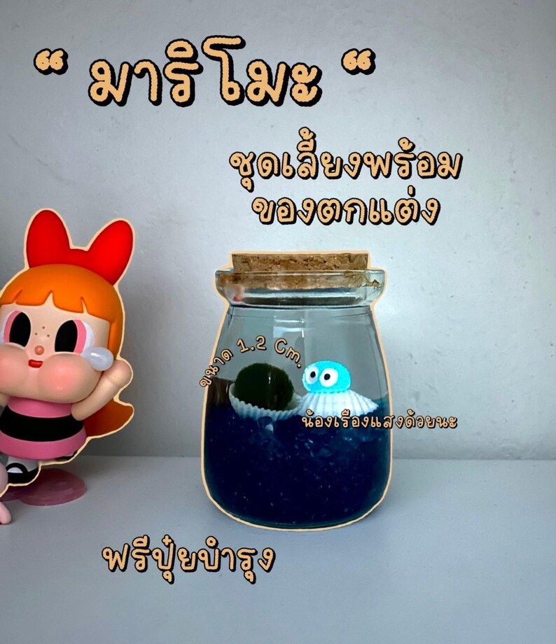 Marimo Set+led+ 1.2cm. (as Shown in the Picture) Free Fertilizer,manual - Etsy