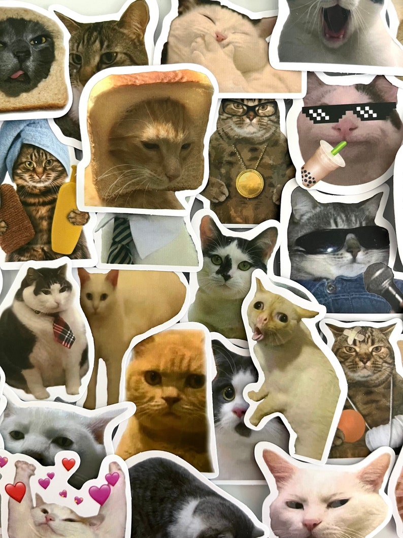 Funny Cat Stickers Pack, Cat Meme Sticker Waterproof Stickers for ...
