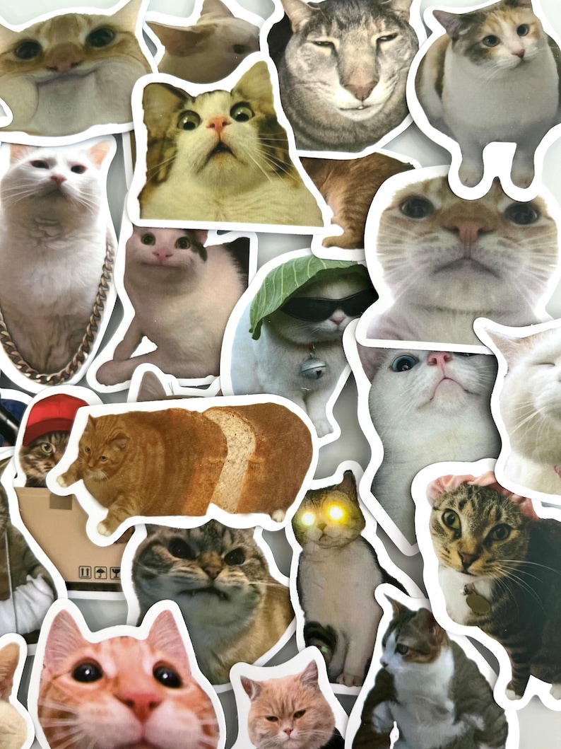 Funny Cat Stickers Pack, Cat Meme Sticker Waterproof Stickers for ...