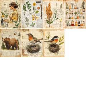 54 Forest Journal pages, junk journal kit, Basic Papers, Printable ...