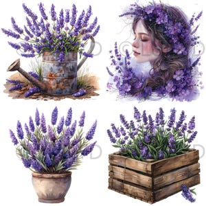 Floral Lavender Watercolor Clipart Bundle: 18 PNG Graphics (digital ...