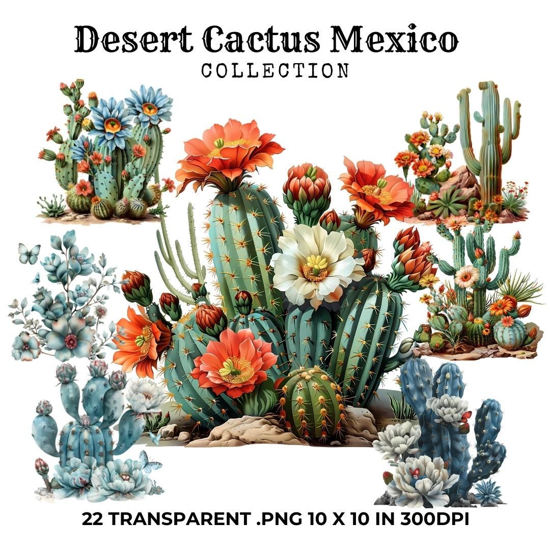 Watercolor Cactus Clipart PNG Desert Mexican Cactus Clipart PNG Cactus ...
