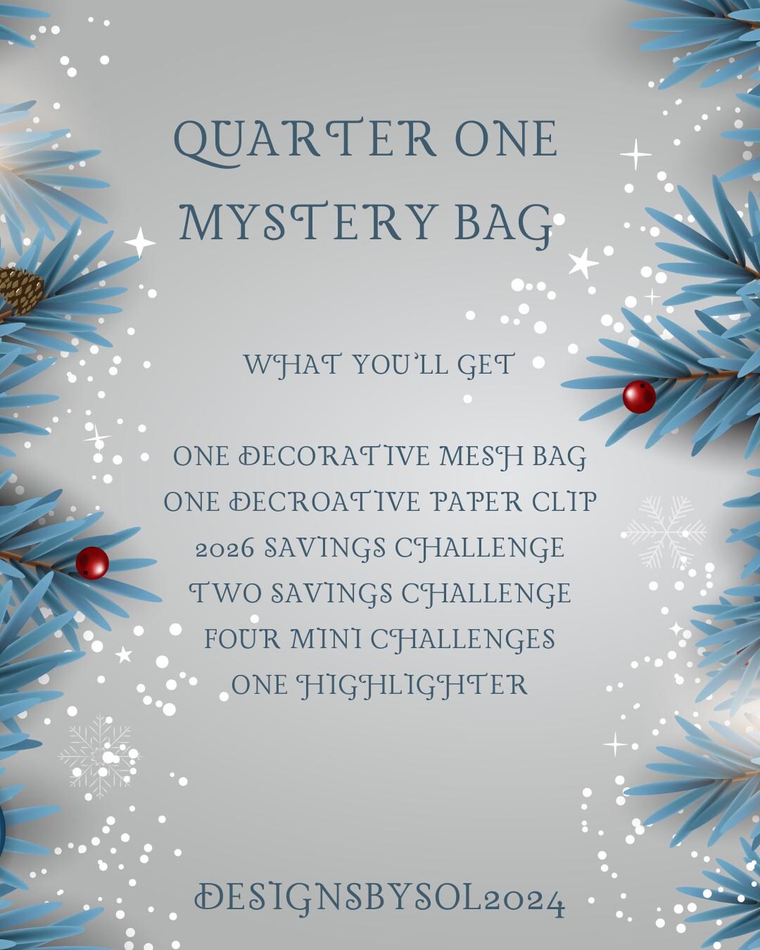 Mystery Bag | Mystery Savings Challenge | Exclusive Paperclip - Etsy