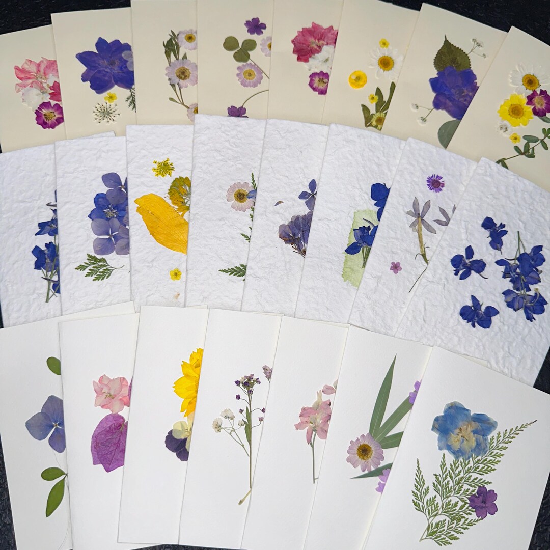 Random Real Pressed Flower Card Set, 6 Cards per Set, Blank Greeting ...