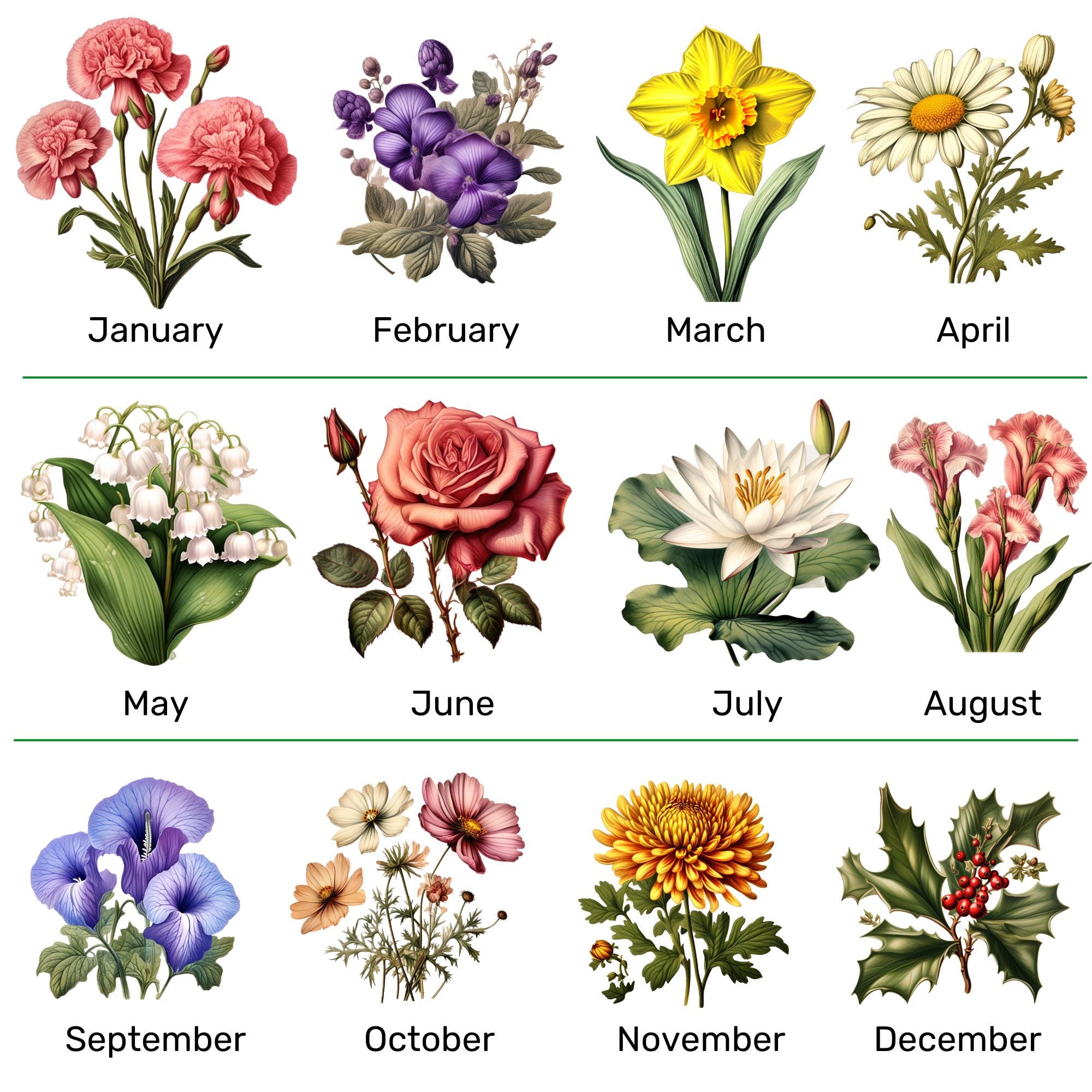 Birth Flower Designs Bundles - Colorful Floral Art Print, Digital ...