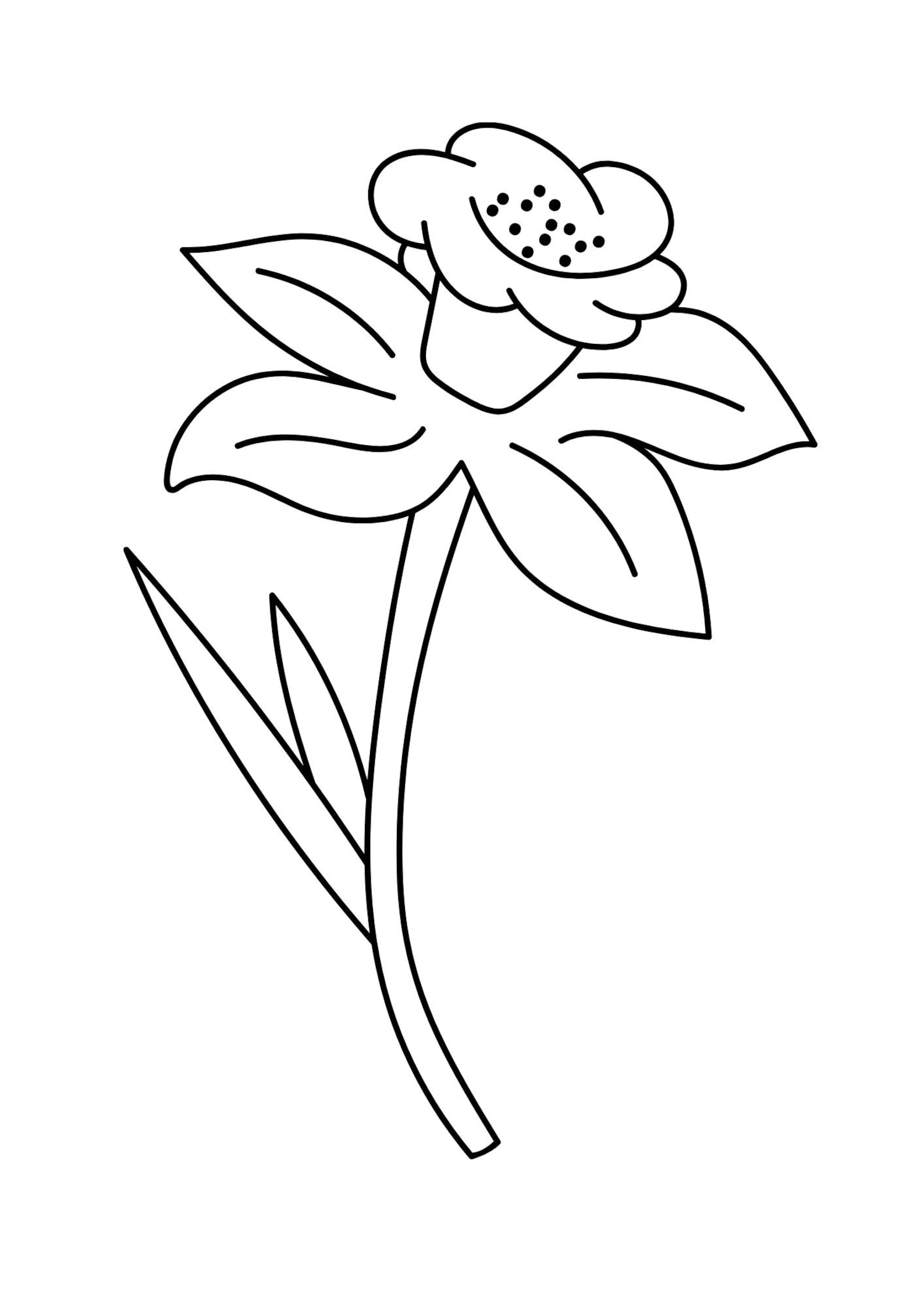 Flower Coloring Book: Fun Floral Designs for Toddlers (PDF Printable ...