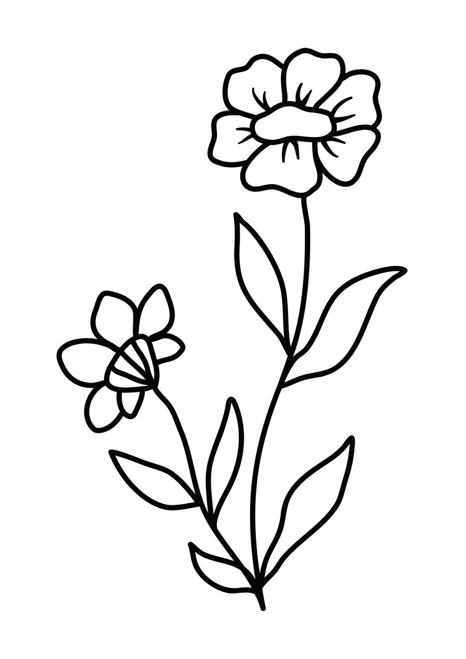 Flower Coloring Book: Fun Floral Designs for Toddlers (PDF Printable ...