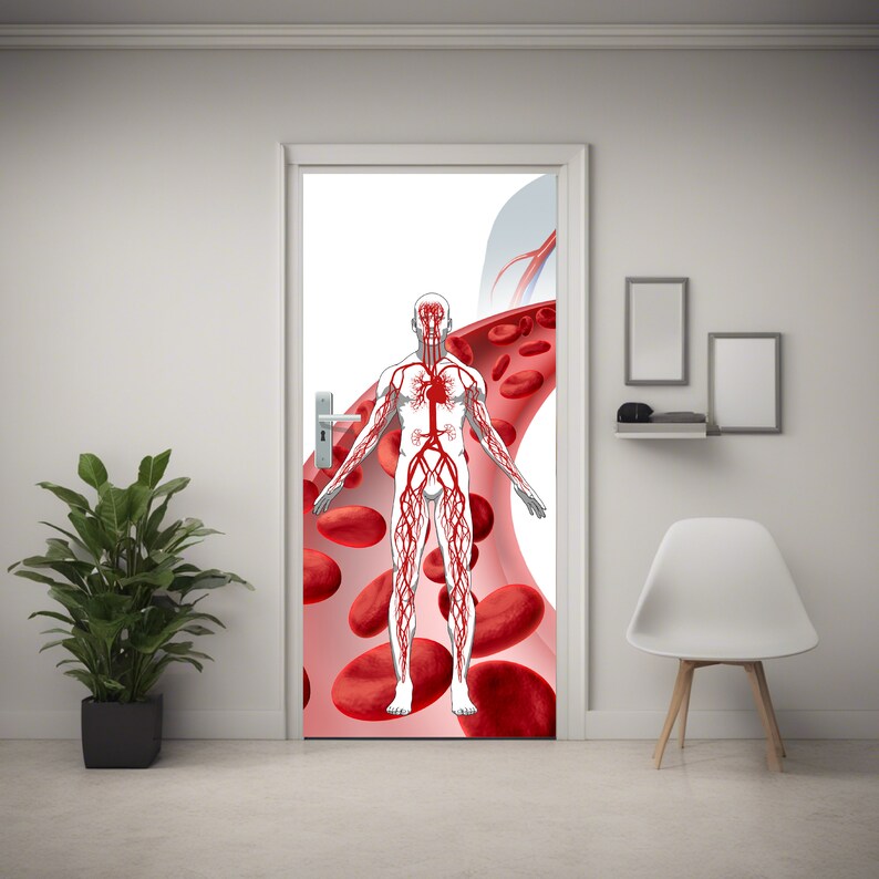 Human Anatomy Label, Healthy Human Body Sticker for Hospital Doors ...