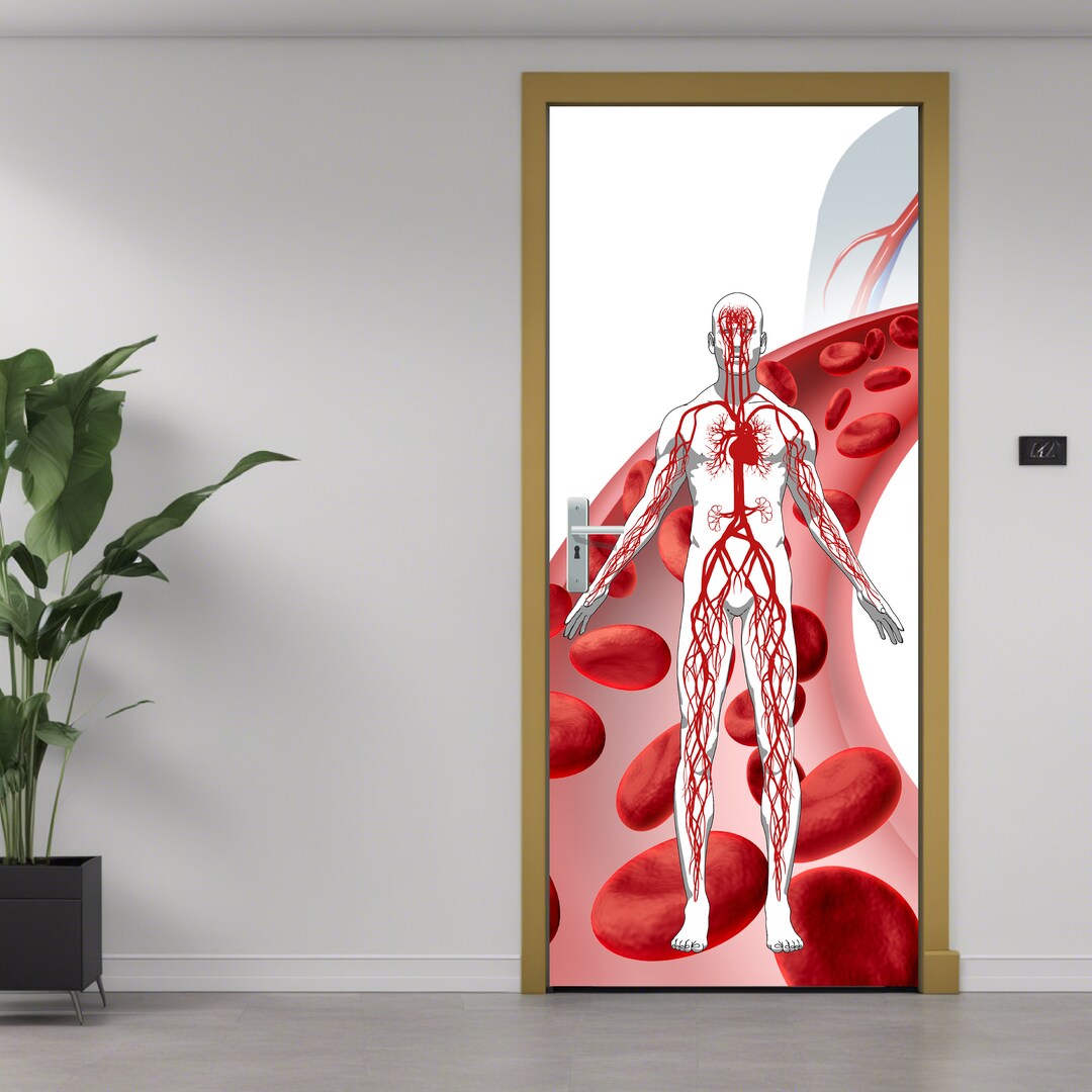Human Anatomy Label, Healthy Human Body Sticker for Hospital Doors ...
