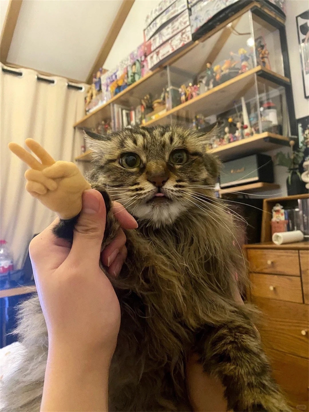 Cat Hands Cat Costume Hands, Tiny Cat Hands, Fake Cat Paw Gloves, Arms ...