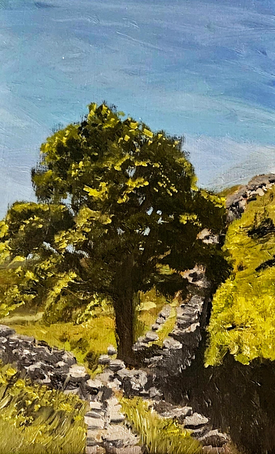 Sycamore Tree, Hadrian's Wall. - Etsy