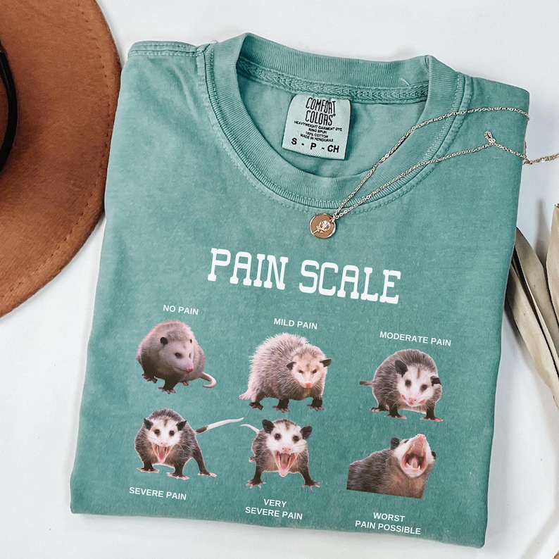 Nurse Pain Scale Pain Assessment Comfort Colors Shirt, Pain Assessment ...
