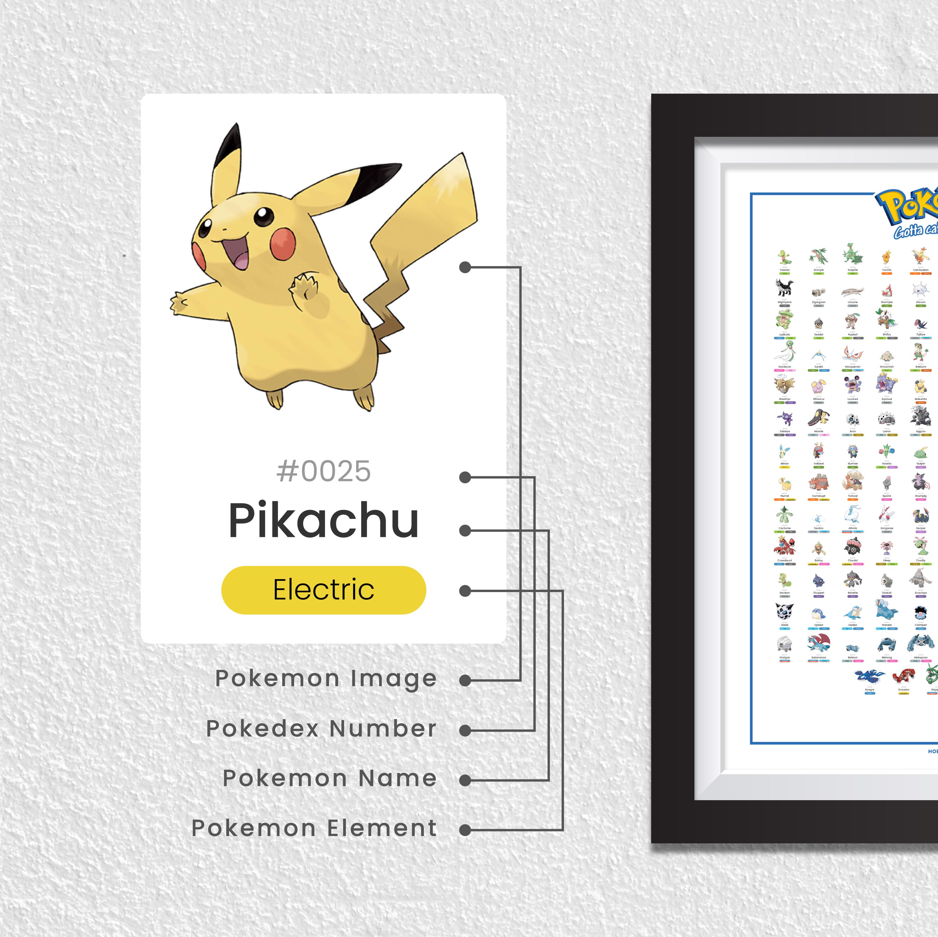 Pokémon Pokédex Hoenn Region PDF Poster A1,A2,A3,A4 & A5 - Etsy