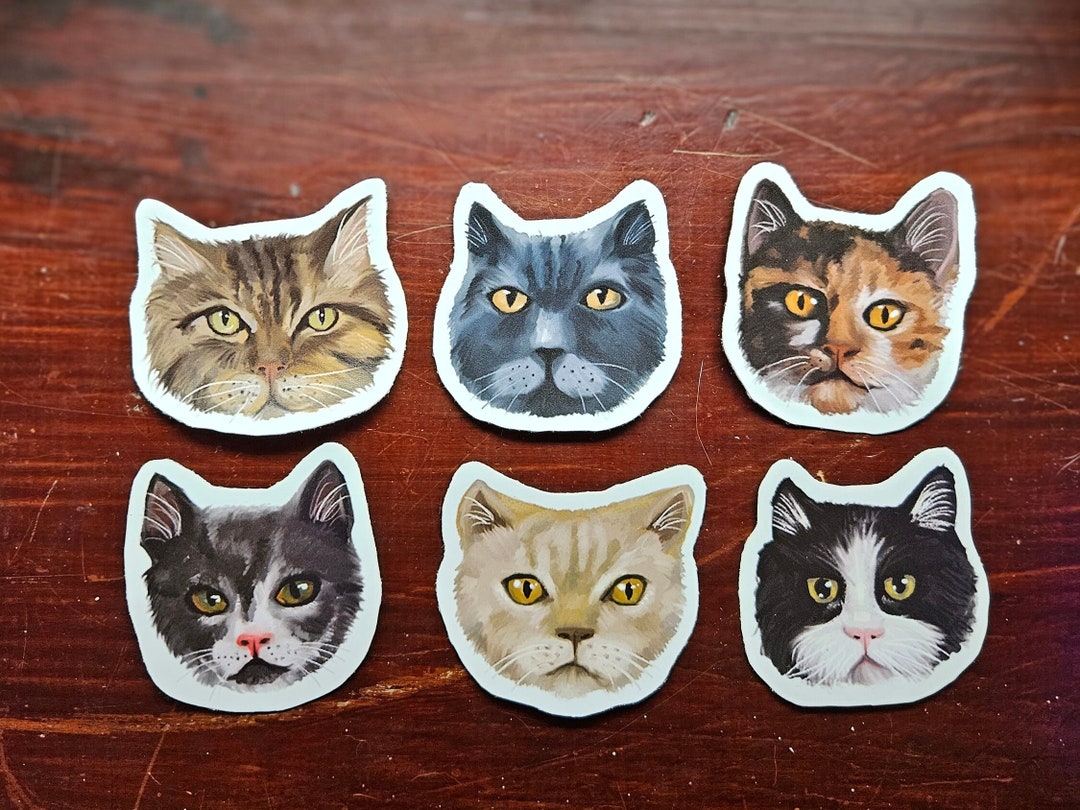 Cute Cat Face Stickers | Stickers for Laptops, Waterbottles, Journals ...
