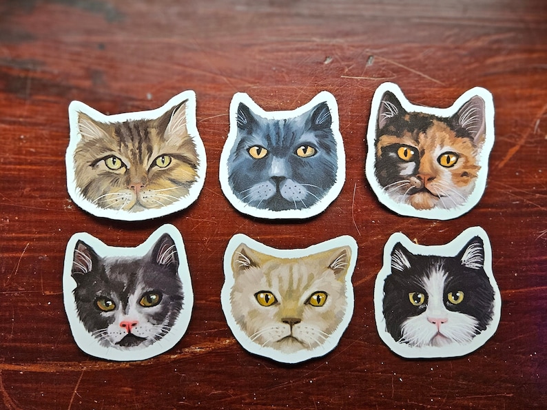 Cute Cat Face Stickers | Stickers for Laptops, Waterbottles, Journals ...
