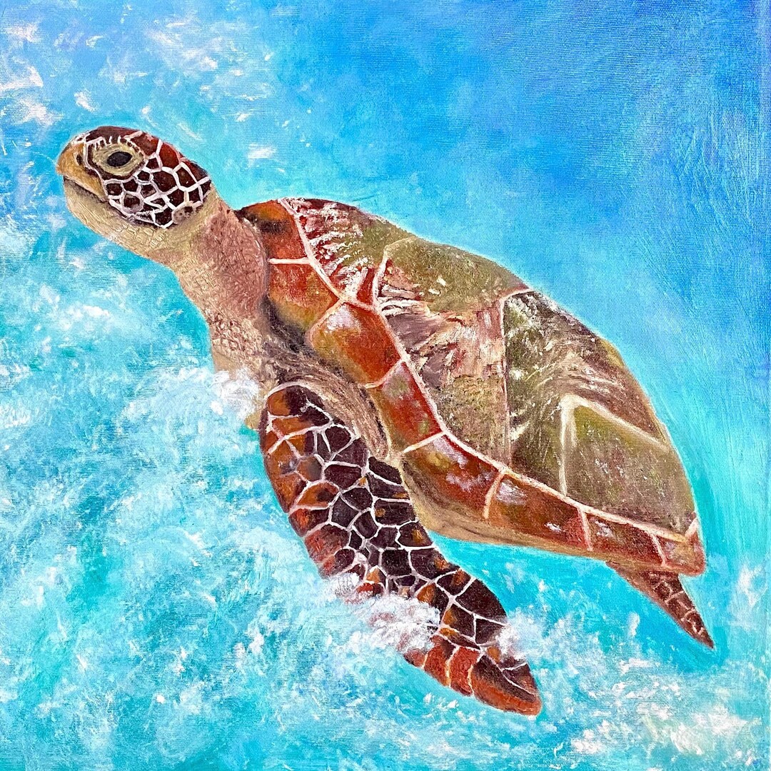 Sea Turtle Oil Painting,original Painting, Oil on Canvas, 50x60 Canvas ...