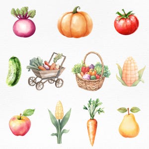 Watercolor Farm Clipart Bundle, Cute Farm Animals PNG, Kids Farmers ...