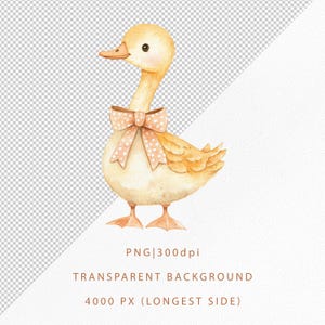 Cute Duck Watercolor Clipart, Digital Download, Baby Shower Invitations ...
