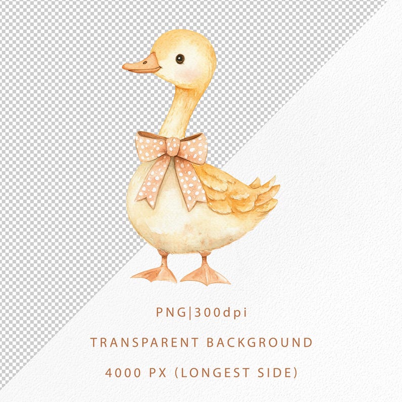 Cute Duck Watercolor Clipart, Digital Download, Baby Shower Invitations ...