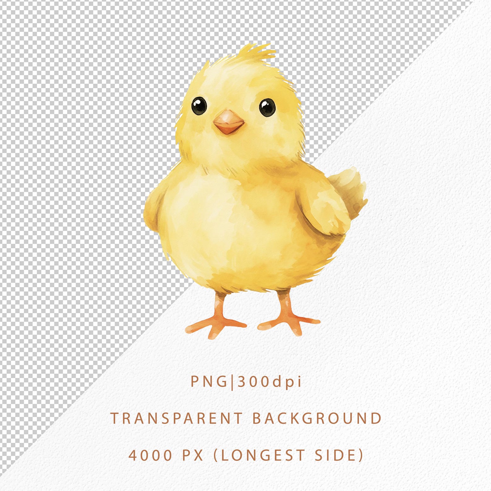 Watercolor Baby Chick Clipart, Cute Easter PNG, Farm Animal Art ...