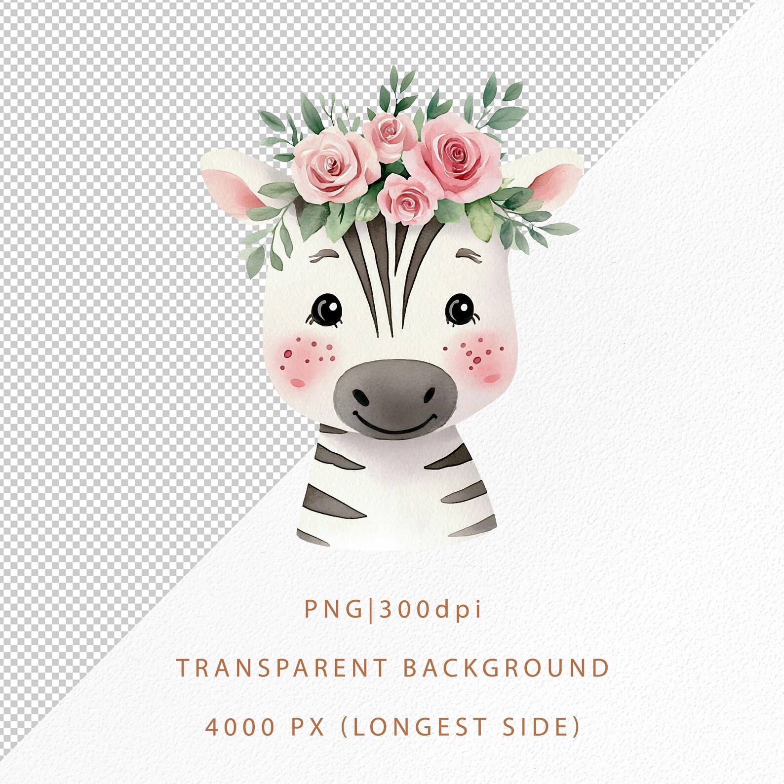 Cute Zebra Clipart PNG | Baby Safari Animal Digital Download | Floral ...