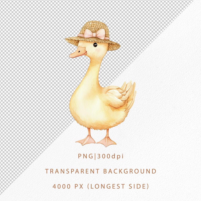 Cute Duck Watercolor Clipart, Digital Download, Baby Shower Invitations ...