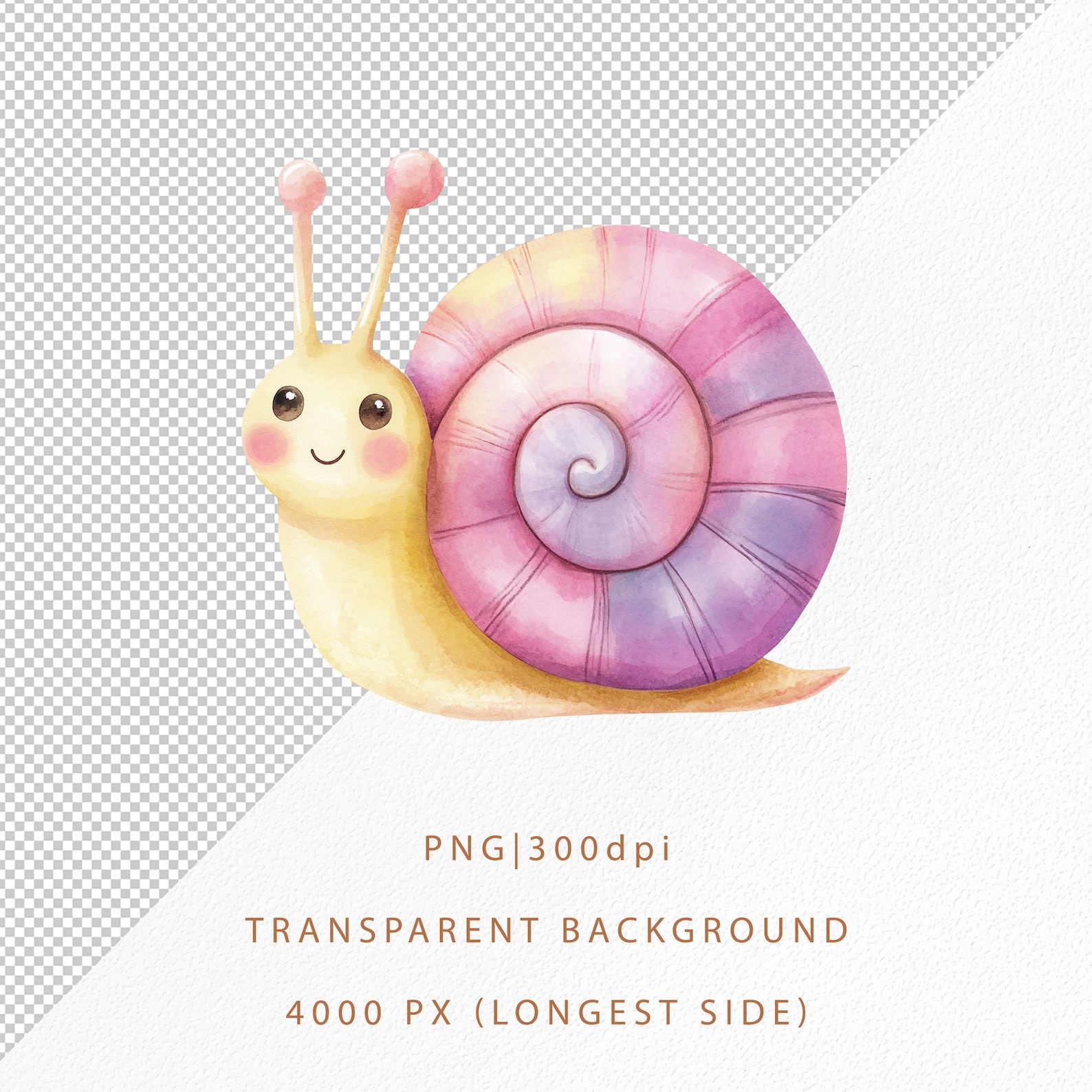 Watercolor Snail Clipart PNG, Spring Summer Snail Garden Digital Art ...
