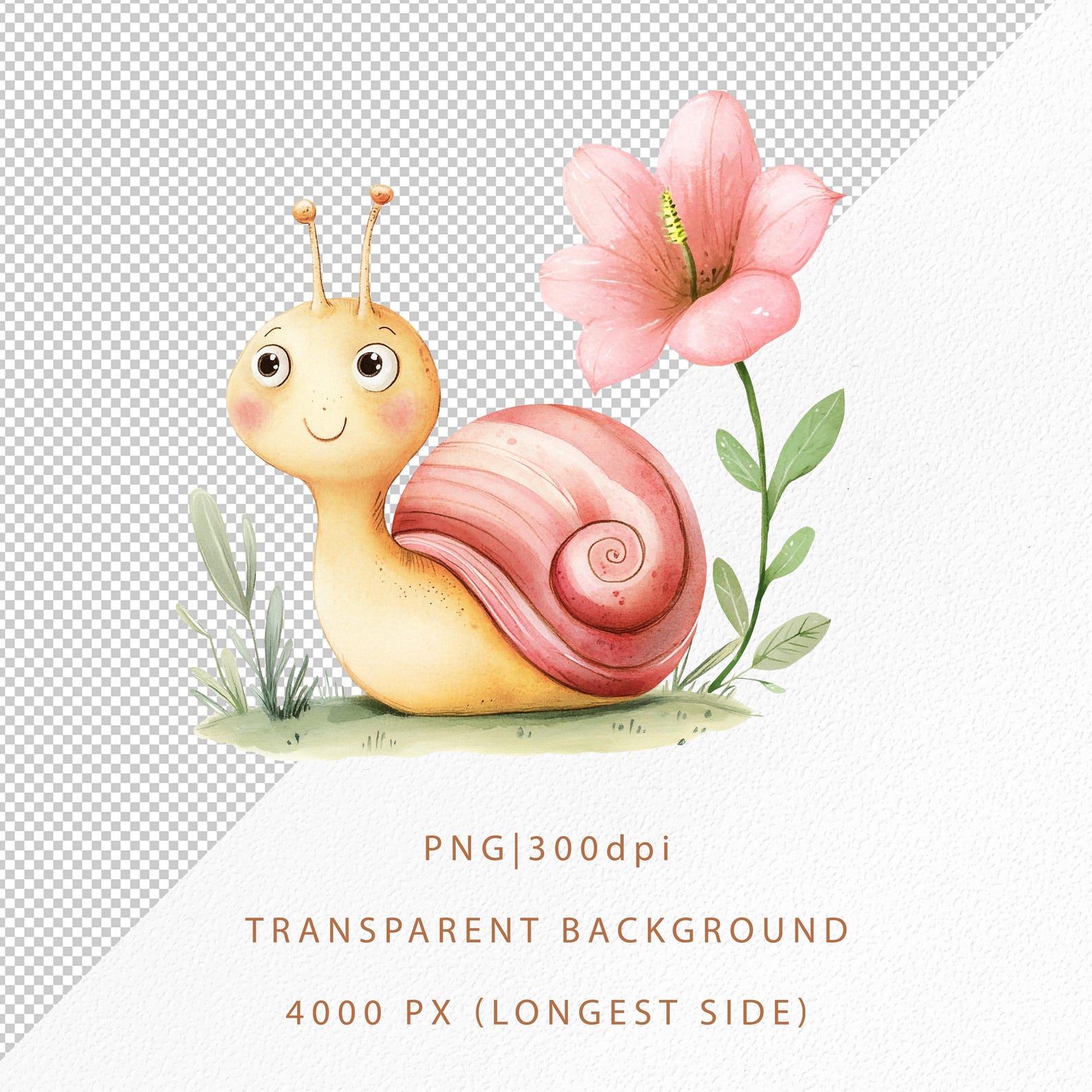 Cute Snail Watercolor Clipart PNG, Nursery Wall Art, Woodland Animal ...
