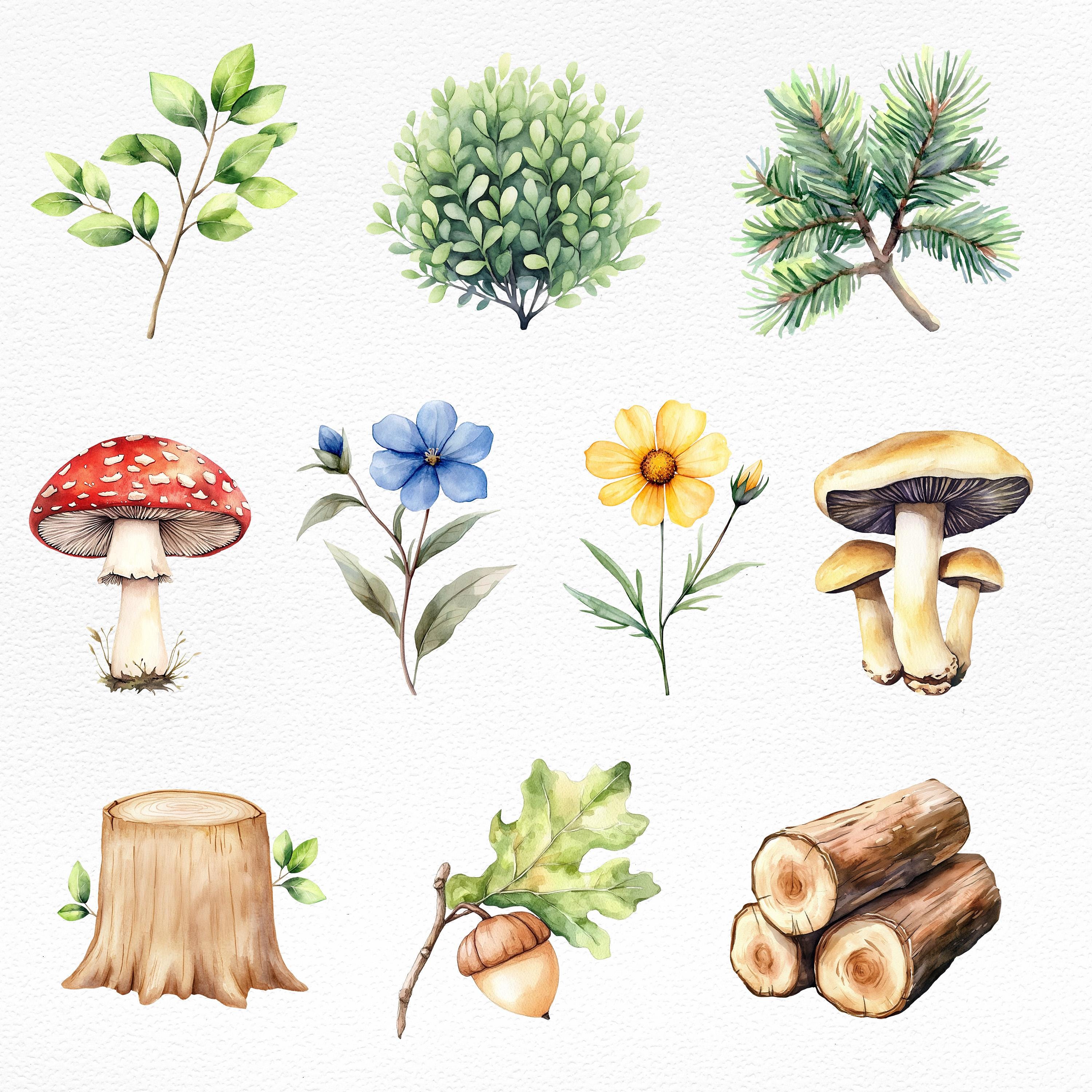 Watercolor Camping Clipart Bundle, Woodland Animals Digital Art, Forest ...