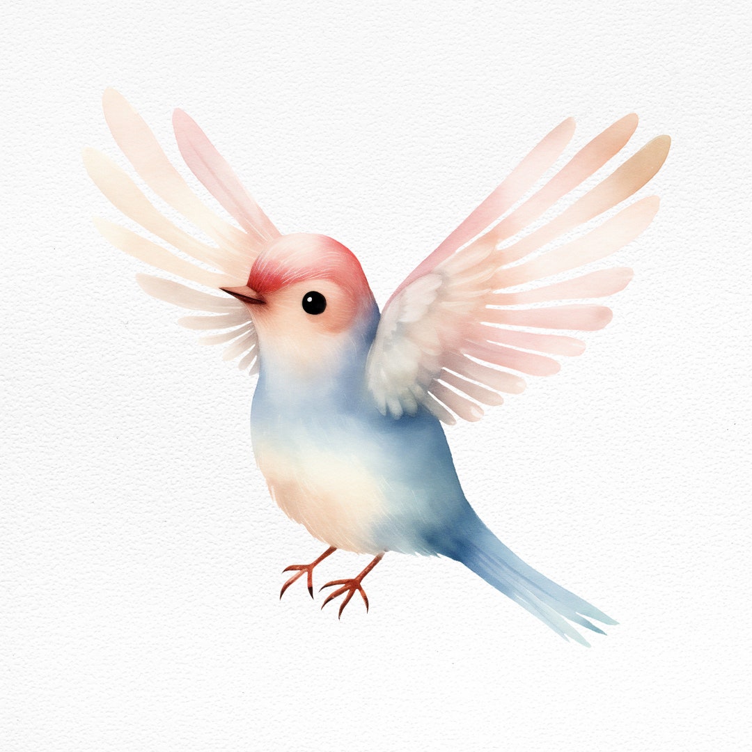 Watercolor Bird Clipart-cute Bird Clipart-nursery Decor Png-commercial ...