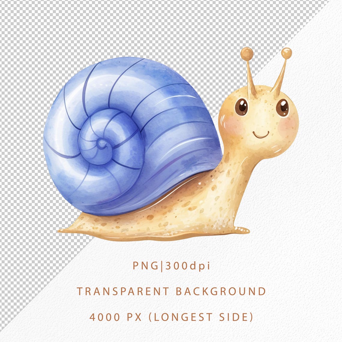 Cute Snail Watercolor Clipart PNG, Nursery Wall Art, Woodland Animal ...