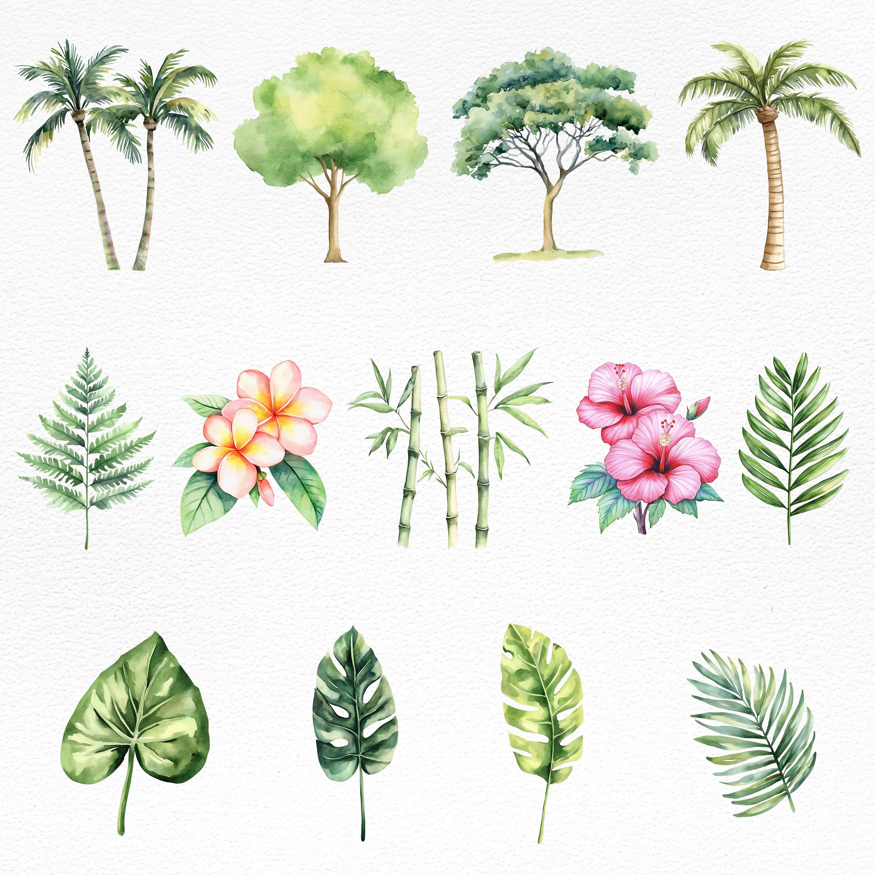Watercolor Safari Clipart Bundle PNG, Jungle Animals, Nature Elements ...