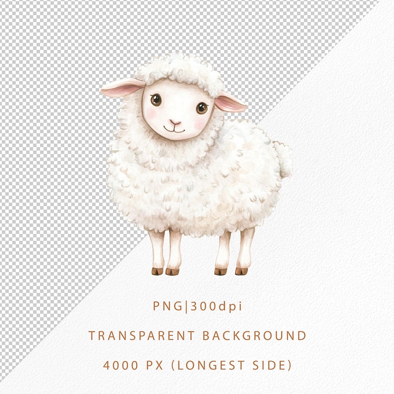 Watercolor Sheep Clipart PNG, Cute Farm Animal Digital Art, Lamb ...