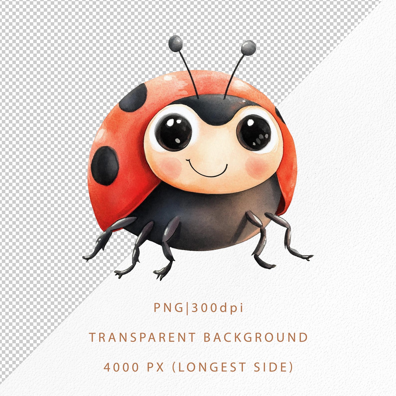 Watercolor Cute Ladybug Clipart Png-ladybug Clip Art-spring Ladybug ...