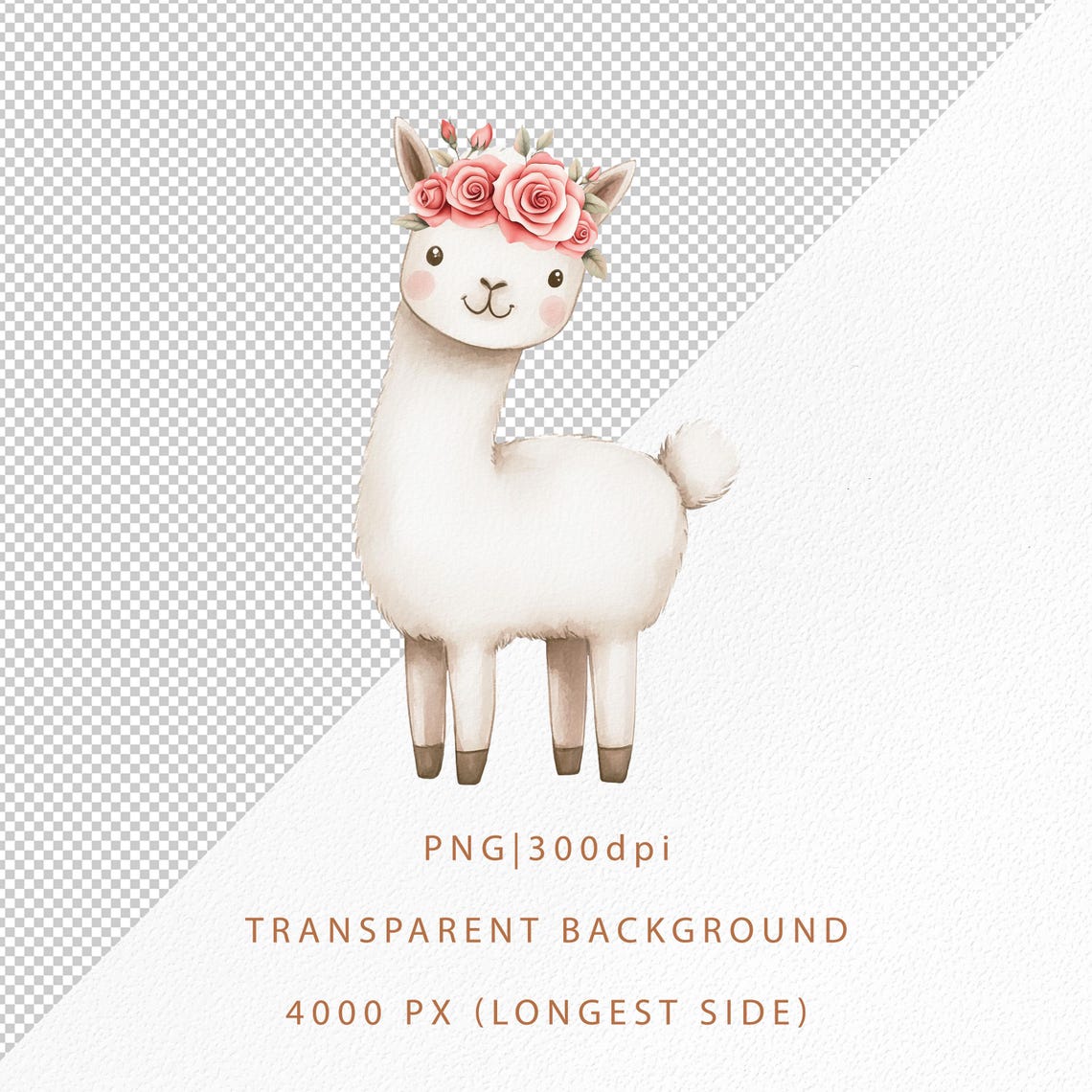 Cute Floral Llama Clipart | Baby Alpaca PNG for Sublimation, Nursery ...