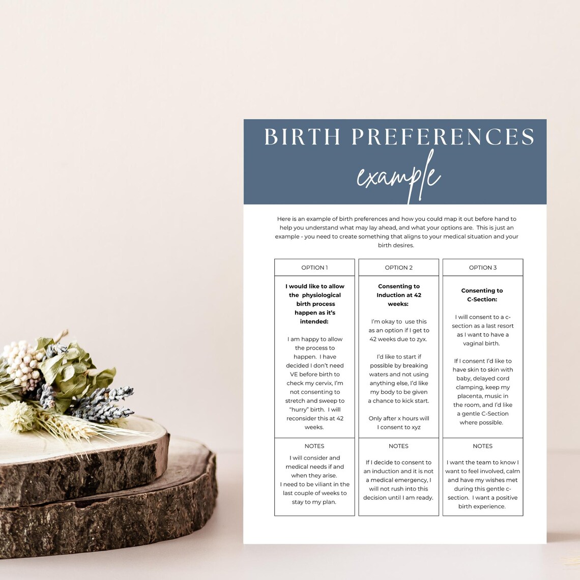 Printable Birth Plan and Preferences Template | Custom Birth Plan PDF ...