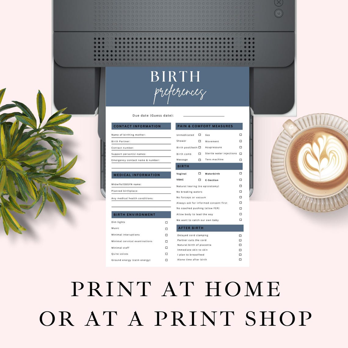 Printable Birth Plan and Preferences Template | Custom Birth Plan PDF ...