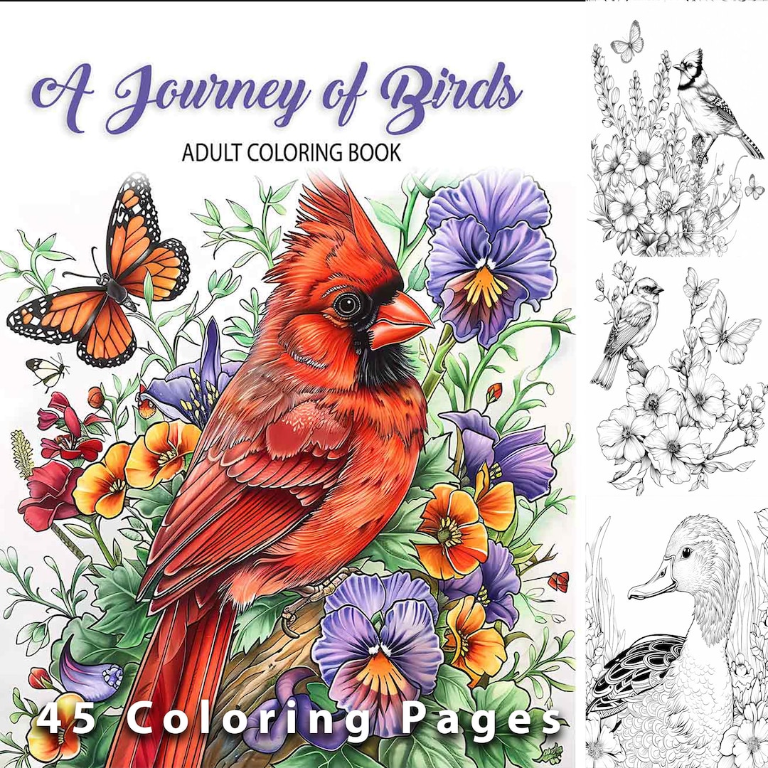 Birds Coloring Book: Floral Wreaths, Landscapes, Butterflies (digital ...