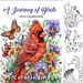 Animal and Nature Coloring Book Collection: 450+ Pages (digital ...