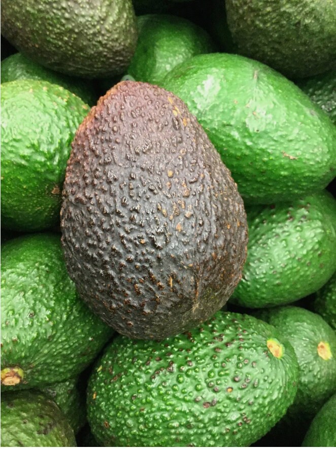 Fresh Hass Avocados (pack of 20) the Actual Fruit - Etsy