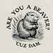 Are You a Beaver, Cuz Dam PNG File, Beaver Transparent T-shirt Design ...