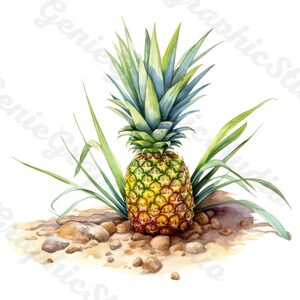Pineapple Clipart, Summer Clipart, Fruit PNG, Pineapple Png ...