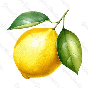 Lemon Clipart, Watercolor Lemon Png, Fruit Clipart, Summer Clipart for ...
