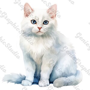 Watercolor Cat Clipart, Cute Cat Png, Pet Clipart, Animal Clipart ...