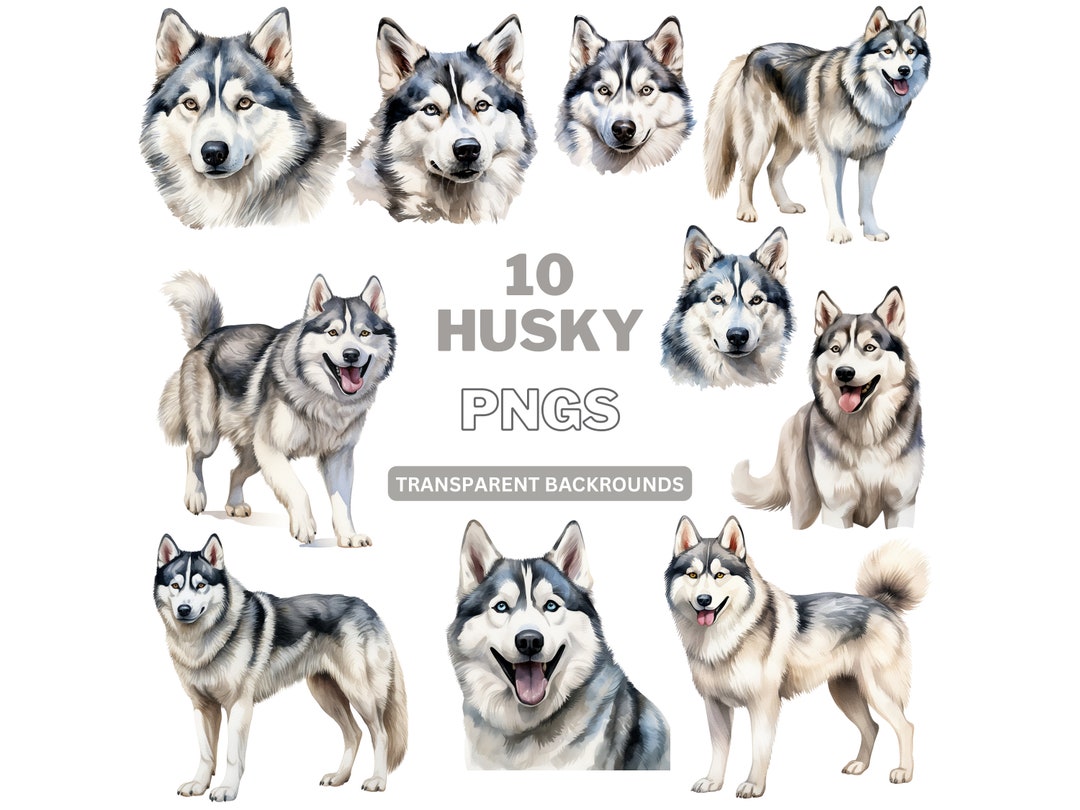 Husky PNG Bundle, Dog PNG, Dog Clipart, Printable Dog Art for Pet Lover ...